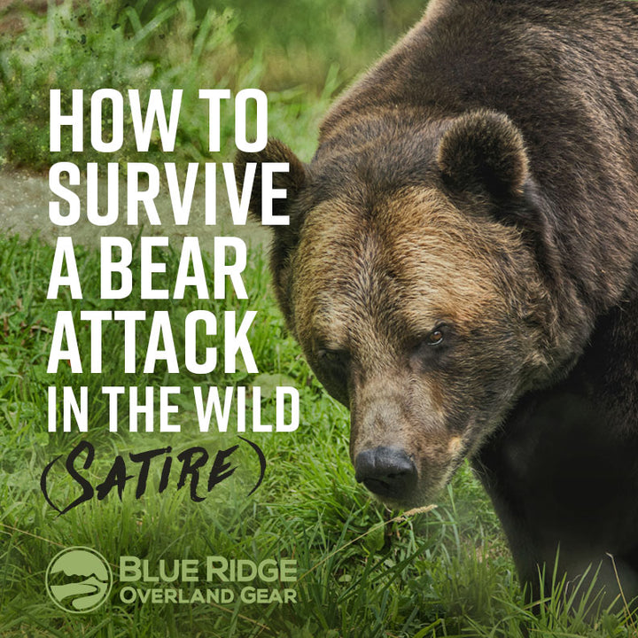 How To Survive A Bear Attack In the Wild (Satire) – Blue Ridge Overland ...