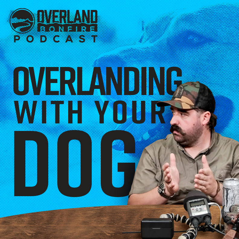Overlanding With Your Dog w/ Matt Wilson of Ray Allen K9 – Blue Ridge ...